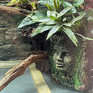 Tfwadmx Aquarium Decoration Statue Fish Tank Ancient Roman Ruins Ornament Cave Hideout for Fighting Fish, Hermit Crabs, Crayfish, SuckerFish, Guppy