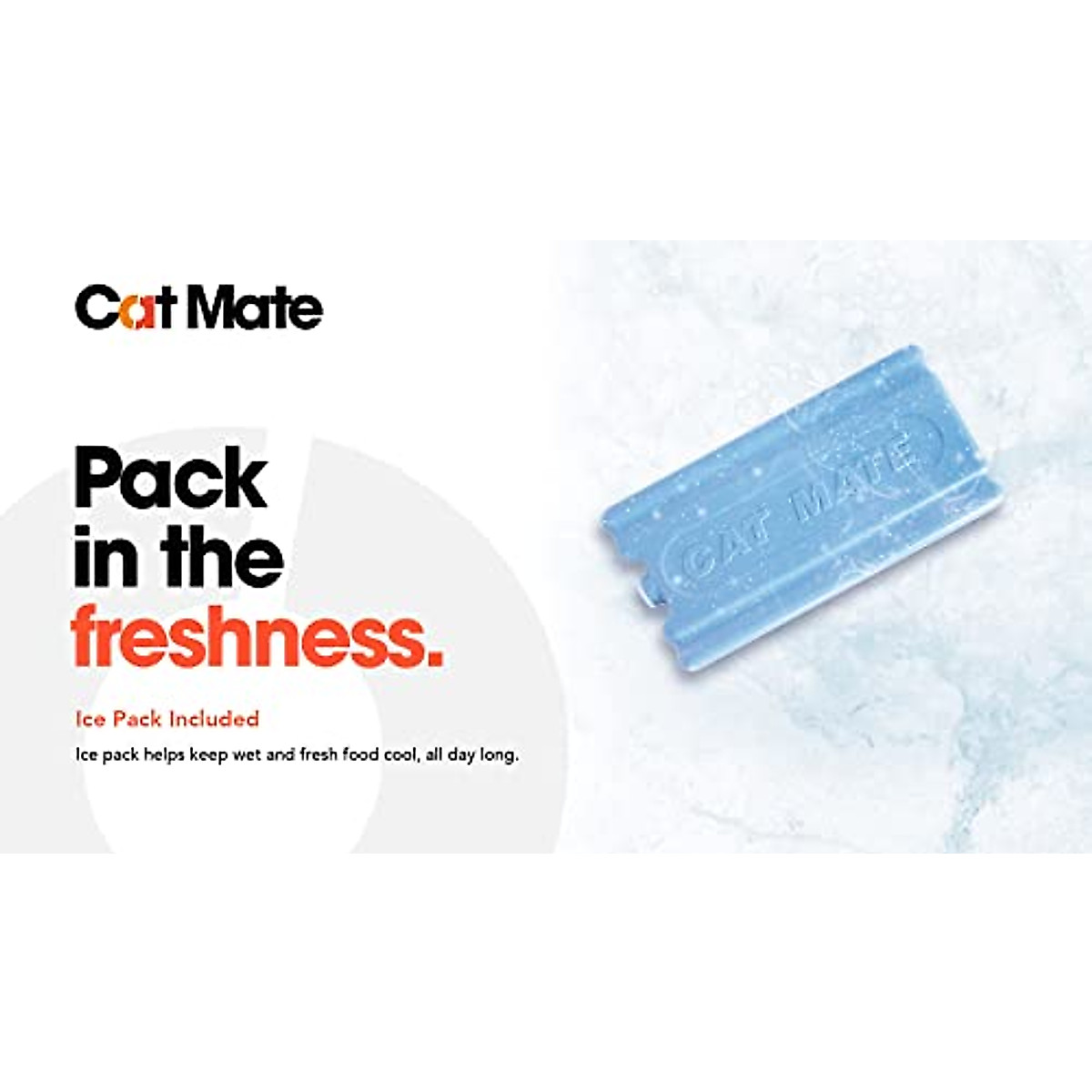 Cat Mate C200 2 Meal Automatic Pet Feeder for Cats and Small Dogs with Ice Pack