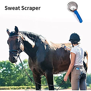RupXinSplend Horse Grooming Kit 11pcs-Portable - Horse Brushes Set & Curry Combs, Sweat Scraper, Grooming Gloves, Hoof Pick, Hoof Knife, Horse Care Kit Equine Grooming Tool Set Horse Kit for Horse Cleaning Blue Tote