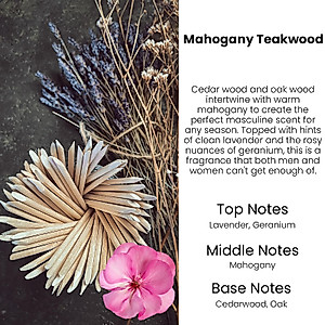 Car Air Freshener Hanging, Essential Oil Diffuser for Car, Car Air Freshener Cute, Long Lasting Air Freshener for Car, Car Fresheners for Women, Made in USA