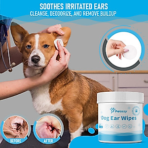 Petazy Dog Ear Wipes for Dog | Unscented Dog Ear Cleaner for Dogs | Remove Dirt Wax Itch Odor | Natural Cleaning Puppy Ear Wipes | Soothing Ear Wipes for Pets Cat | Organic Ingredients | 125 XL Pcs