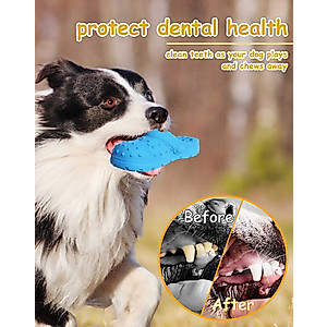 Yiran Dog Chew Toys Interactive Dog Toys- Durable Squeaky Tough Dog Toy for Teeth Cleaning,Milk Flavored Latex Dog Toys for Small/Medium Breeds,Boredom Chase Training and Sport