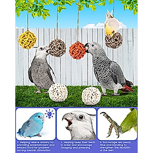 Bissap 6PCS Small Parrot Chew Toys, Sola Balls Parrot Chewing Foraging Toys Colorful Bird Foot Balls for Cockatiels Conures Cockatoos Parakeets Love Birds Small Parrot Cage Bite Toys