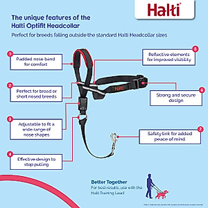 HALTI Optifit Headcollar - To Stop Your Dog Pulling on the Leash. Adjustable, Reflective and Lightweight, with Padded Nose Band. Dog Training Anti-Pull Collar for Large Dogs (Size Large)