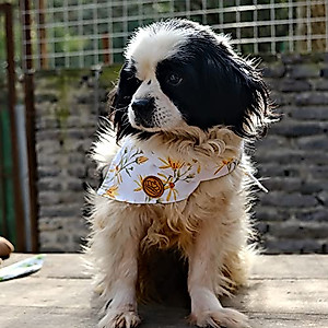 CROWNED BEAUTY Spring Summer Dog Bandanas Reversible Large 2 Pack, Floral Daisy Set, Plaid Adjustable Triangle Holiday Green Yellow Scarves for Medium Large Extra Large Dogs Pets DB37-L