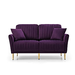 Yuxuanhang Loveseat with Removable Backrest Pillows, Modern Velvet Upholstered Sofas with Gold Metal Legs, for Living Room, Bedroom, Easy Assembly (Purple)