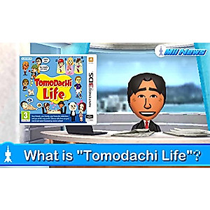 Third Party - Tomodachi Life Occasion [ Nintendo 3DS ] - 0045496525514