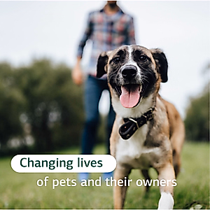 Standard Process Canine Musculoskeletal Support - Bone & Joint Health Formula for Pets - Canine Musculoskeletal Support Supplement - Supplement for Dogs to Aid Joint Comfort & Muscle Health - 120 g