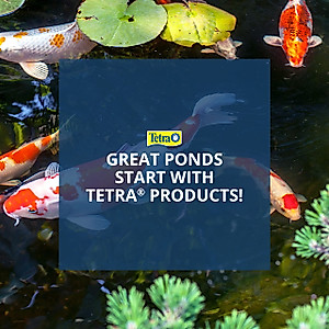 Tetra 14941 Pond Waterfall Pump for Ponds, Debris 3600 Gph Handling Pump High Capacity,Ponds Up to 1500 Gallons