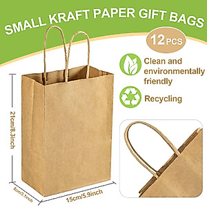 MAQIHAN Small Kraft Bags with Handles 12 pcs Kraft Gift Paper Bags Brown Kraft Bag Small Gift Bag Craft Bags with Candy Birthday Party Favor Christmas Valentines Shopping Small Business Gift Bags