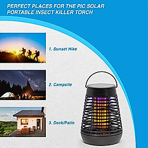 PIC Portable Solar Insect Killer Torch (FLPT), Bug Zapper and Flame Accent Light, Kills Bugs on Contact - Twin Pack