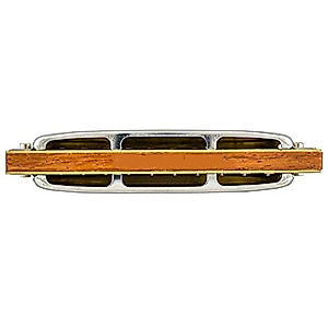 WAAZVXS Blues Harp 532/20 Diatonic Harmonica 10 Holes 20 Tone Mouth Organ Key C Musical Instruments (Color : Key A)
