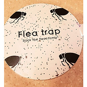 12 Packs Flea Trap Refill Discs for Inside Your Home, Natural Flea Light Trap Sticky Pads for Flea Detection.