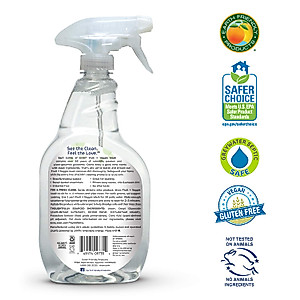 ECOS® Non-Toxic Fruit + Veggie Wash: 22oz Spray Bottle by Earth Friendly Products (Pack of 2)
