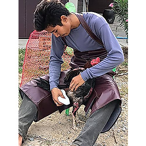 HULX Rooster Booster Lotion KAMIN NANOGEL PHLAI TURMARIC Extract 50 ML. Poultry Bird Chicken Vitamins Nourish Body Red Skin, Relax Muscles, Wound HEAL Quickly Recover After Fighting Rooster Gamefowl