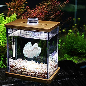 hygger 50W Mini Inline Quartz Glass Aquarium Heater with External Controller, Adjustable Submersible Betta Fish Tank Thermostat for 5-15 Gallon