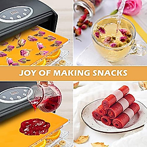 4PCS Silicone Dehydrator Sheets Dehydrator Mats with Edge for Fruit Leather Liquid Fruits Meat Vegetables Herbs,Avkast Non-stick Dehydrator Trays with Silicone Scraper Compatible with Cosori CP267-FD