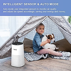 Air Purifier for Large Room, H13 HEPA Air Filter Cleaner for Bedroom, Covers up to 1000 sq ft, Auto whole Home Air Purifier Cleaner, Quiet Room Air Filters