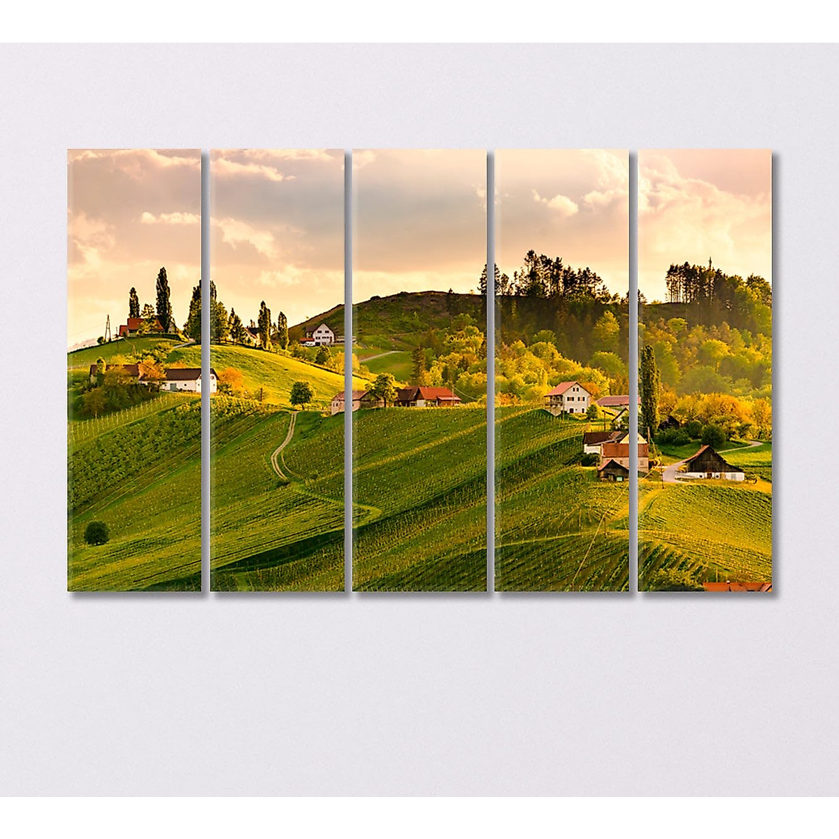 Vineyard Landscape South Styria Austria Canvas Print 1 Panel / 36x24 inches