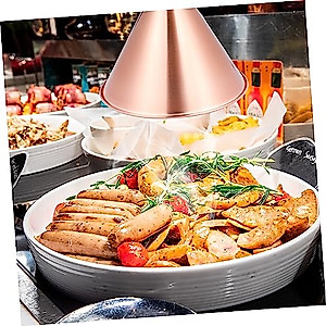 BUGUUYO 1pc Food Warmer Lamp Dome Reptile Light Reptile Lamp Hanging Light Fixtures Hot Lamp for Food Warmer for Parties Buffets Catering Food Catering Lamps Food Metal