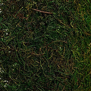 Byher Dried Moss Table Runner for Party Garden Decoration, Dark Green 30cm X 180cm ( 12" x 71" )