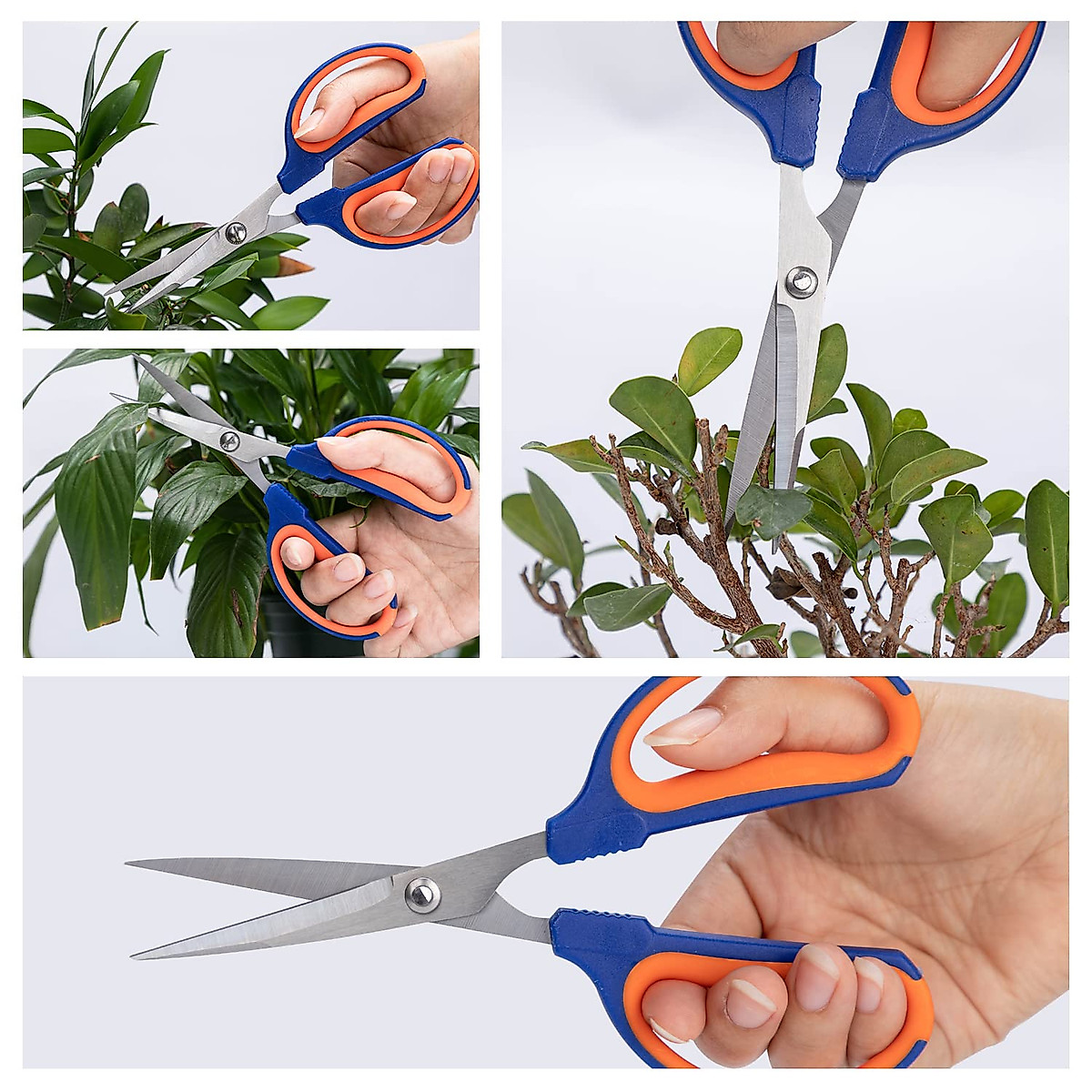 WISEPRO Bonsai Scissors, Gardening Cutters, Sharp Plant Trimming Shears, Flower Pruning Snips, Rose Cutting Tools with Stainless Steel Blade(6PACK)