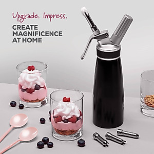 FineDine Professional Whipped-Cream Dispenser - Highly Durable Aluminum Cream Whipper, 3 Various Stainless Culinary Decorating Nozzles and 1 Brush - Canister with Recipe Guide - Homemade Cream Maker