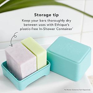 Ethique Tone It Down Brightening Purple Gift Pack for Blonde and Silver Hair - Shampoo & Conditioner Bundle - Sulfate-Free, Plastic-Free, Vegan, Cruelty-Free, Eco-Friendly (Pack of 1)