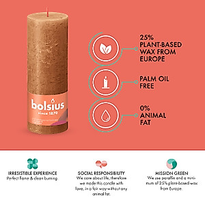 BOLSIUS 4 Pack Spice Brown Rustic Pillar Candles - 2.75 X 7.5 Inches - Premium European Quality - includes Natural Plant-Based Wax - Unscented Dripless Smokeless 85 Hour Party Décor Candles