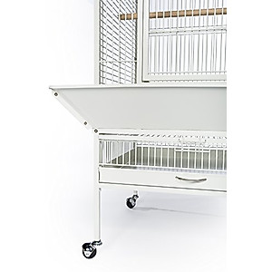 Prevue Pet Products 34522 Dometop Bird Cage, Large, Chalk White