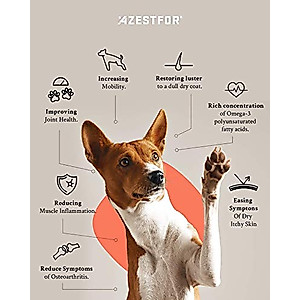 Azestfor Anti-Inflammatory Green Lipped Mussel for Dogs Powder