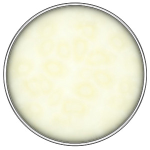 The Gentlemen's Premium Beard Balm - Fragrance Free - Leave-in Conditioner & Softener - All Natural - Styles, Strengthens, Thickens & Softens Promoting Healthier Beard & Mustache Growth