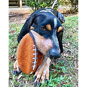 Nylabone Power Play Felt Football Gripz Fetch Toy, Squeaky Ball Chew Toy for Dogs, Large (1 Count)