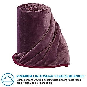 LEISURE TOWN Fleece Blanket Queen King Twin Throw Size Soft Summer Cooling Breathable Luxury Plush Travel Camping Blankets Lightweight for Sofa Couch Bed (Lavender, Queen (90" x 90"))