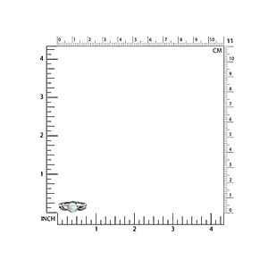 Silvershake 6mm Natural Round Shape Moonstone 925 Sterling Silver Solitaire Ring Size 7