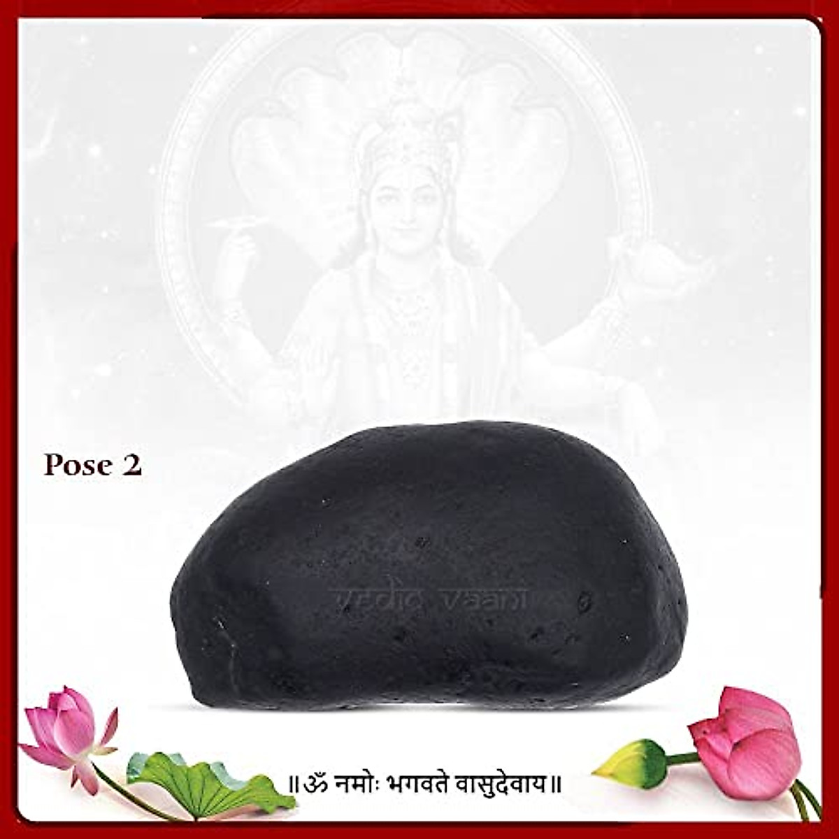 Vedic Vaani Lord Rishikesh Rajanikant Chandrama Netra Shaligram Shila for Peace and Prosperity (Pack of 4)