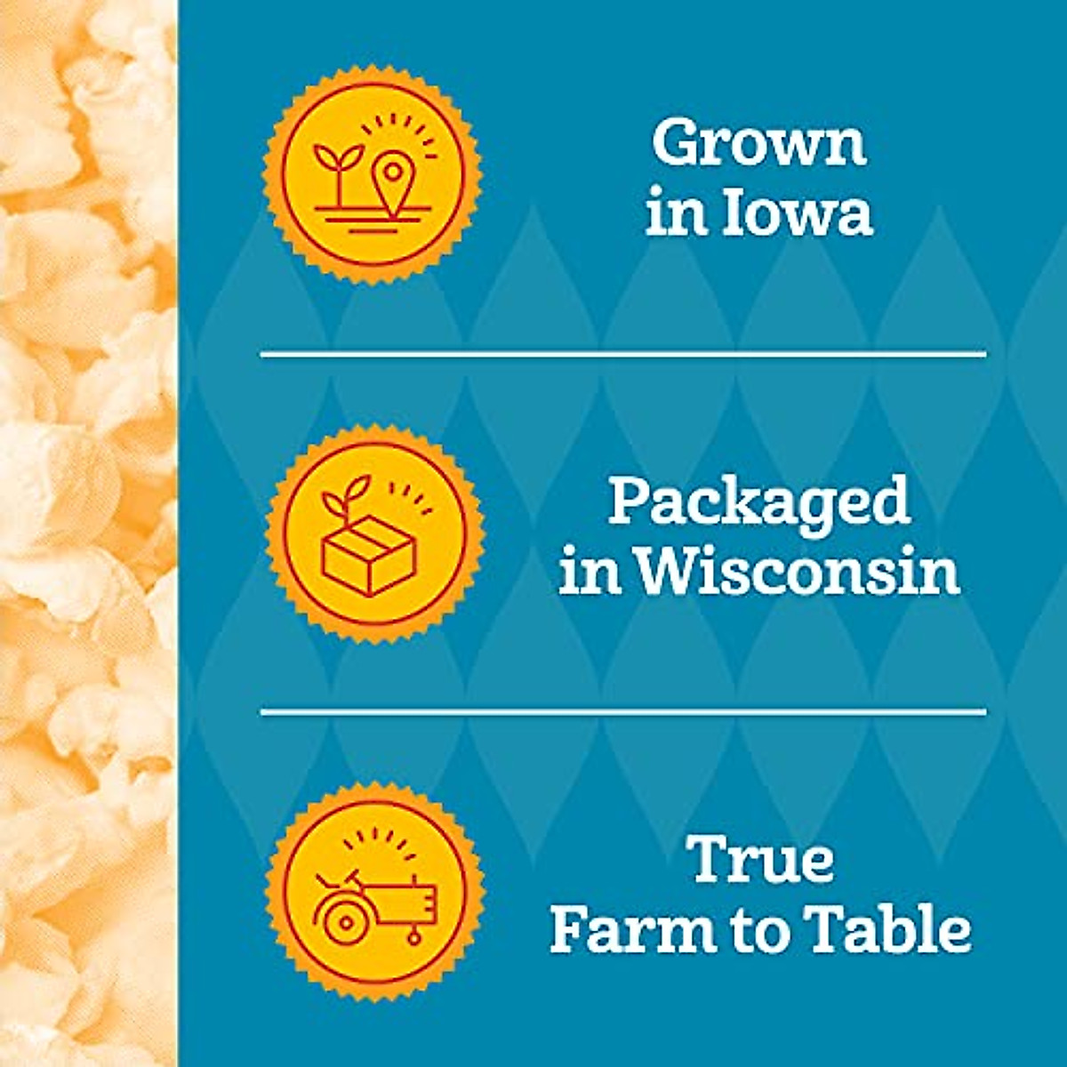 Franklin’s Gourmet Popcorn All-In-One Popcorn Packs for Popcorn Machine - 4oz Pack of 10 - Made in USA - Classic Popcorn Bags with Buttery Salt & Oil