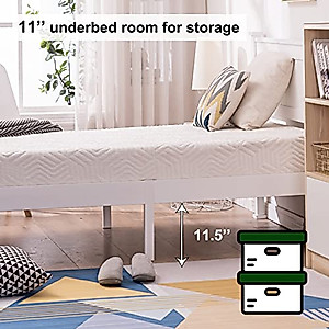 Bonnlo White Twin Bed Frame with Headboard,Modern Wood Bed Single Bed for Adults, No Box Spring Needed Panel Bed, Wood Slat Support Mattress Foundation