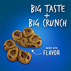 Fruitables Biggies Dog Biscuits – Crunchy Dog Biscuits Made with Pumpkin – Healthy Dog Treats Packed with – Free of Wheat, Corn and Soy – Pumpkin & Blueberry – 16 Ounces