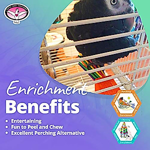 Super Bird Creations SB301 Chewable Paper Party Bird Toy with Colorful Lollipop Sticks, Large Size, 6.5” x 1.5” x 1.5”,Varies