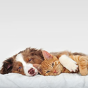 Replacement Dog Bed Cover - Large Pet Duvet with Zipper, Sherpa Top, and Nonslip Bottom - Removable Washable Cover by PETMAKER (Brown Plaid)