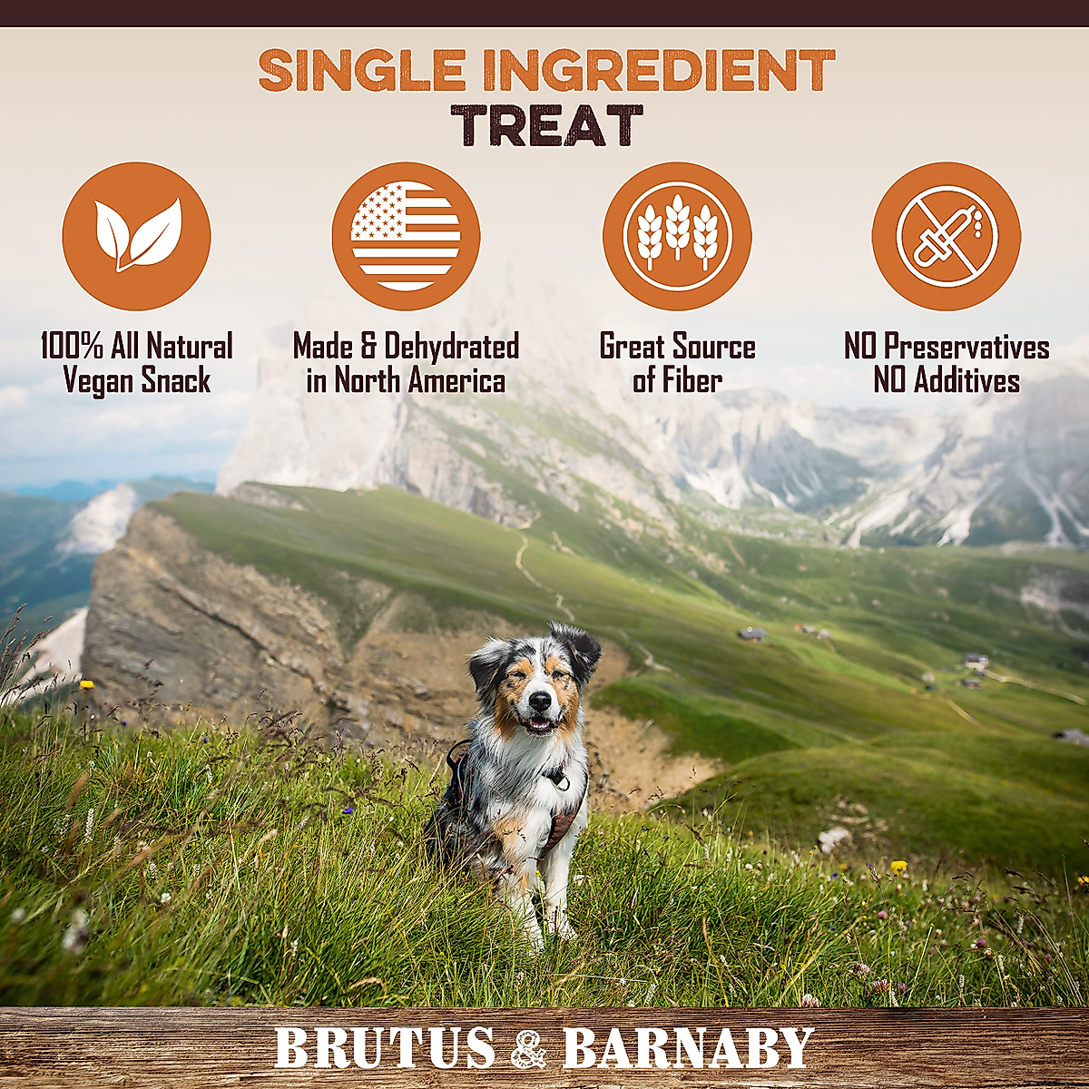 BRUTUS & BARNABY Sweet Potato Dog Treats- No Additive Dehydrated Sweet Potato Fries, Grain Free, Gluten Free and No Preservatives Added (14 oz)