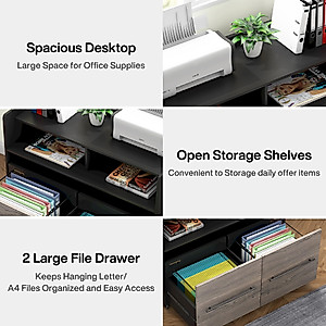 Tribesigns 2 Drawer File Cabinet Rolling Filing Cabinets for Home Office Grey lateral File Cabinet Wood File Cabinet for Letter Size, Printer Stand with Rolling Wheel and Open Storage Shelves