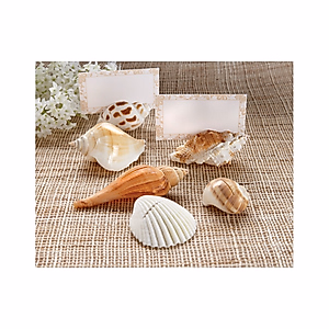 "Shells by the Sea" Authentic Shell Placecard Holders with Matching Placecards (Set of 6)