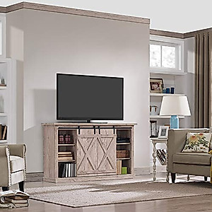 Twin Star Home Sliding Barn Door TV Stand, Ashland Pine