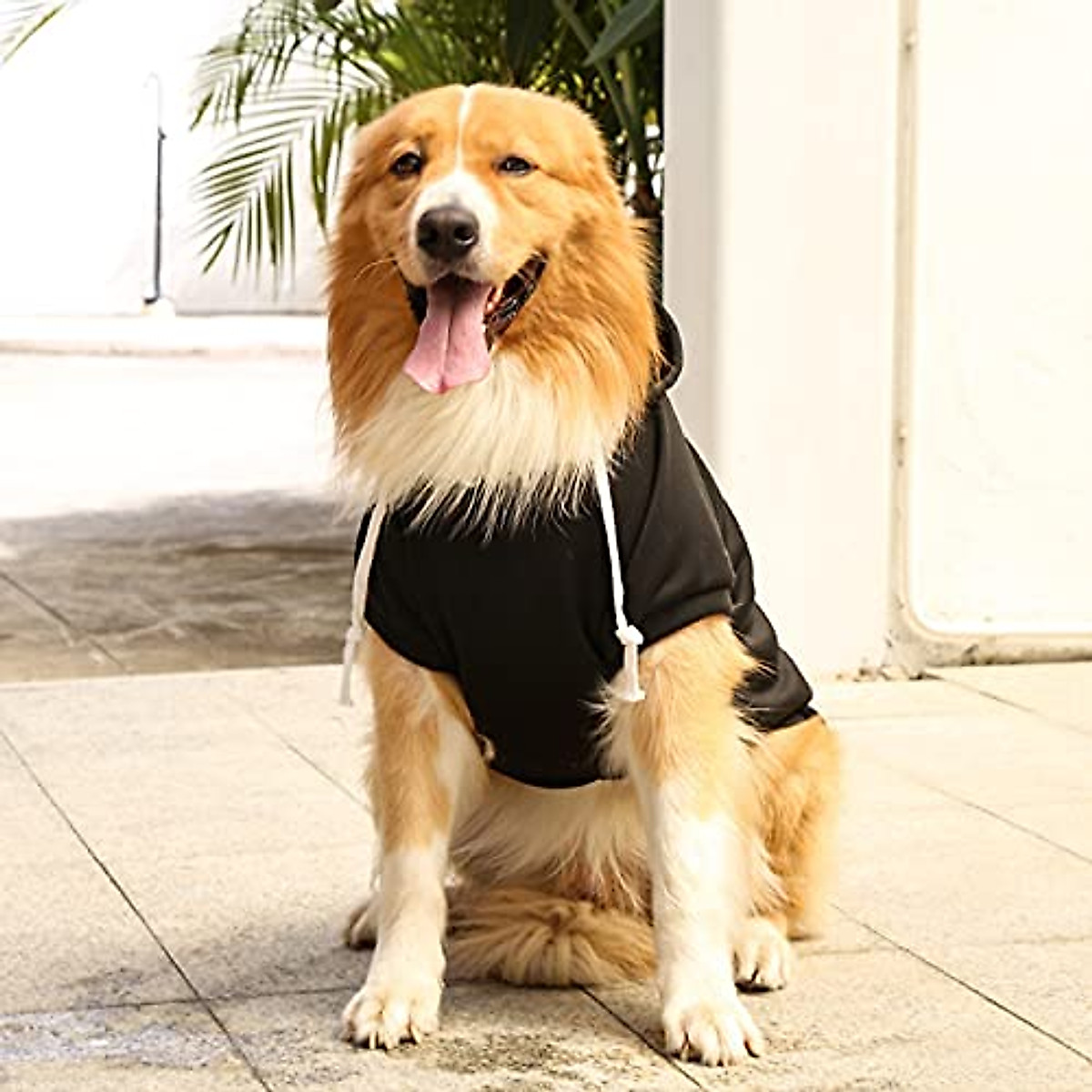 Pet Clothes Hooded Sweatshirt for Dogs Cat Pet Autumn and Winter Zipper Fleece Pocket Sweatshirt Black Tops Pet Cats and Dogs Hoodies Cute Warm Pet Clothes Sweater for Dogs Medium Size (Black 1, XS)