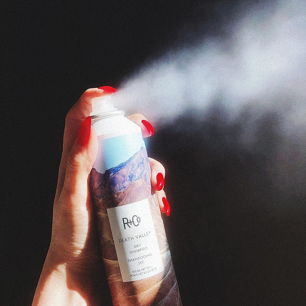 R+Co Death Valley Dry Shampoo | Adds Texture + Body + Shine | Vegan + Cruelty-Free | 1.0 Oz