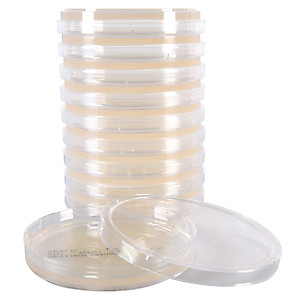 HardyCHROM Candida, Chromogenic Medium for C. Tropicalis, Krusei, and Albicans; 15x100mm Plate, Order by The Package of 10, by Hardy Diagnostics