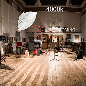 BAOMING Par 56 LED Bulb Dimmable 4000K (Neutral White) 300W Par56 Halogen Equivalent 24 Beam Angle 28W AC120V GX16D Base