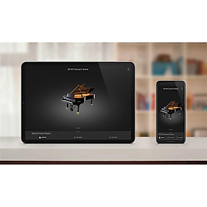 Kawai KDP120 Digital Home Piano - Satin Black